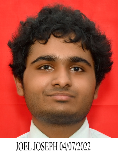 CBSE Toppers XIIth Class :: St Mary's Sr. Sec. School, Jwalapur